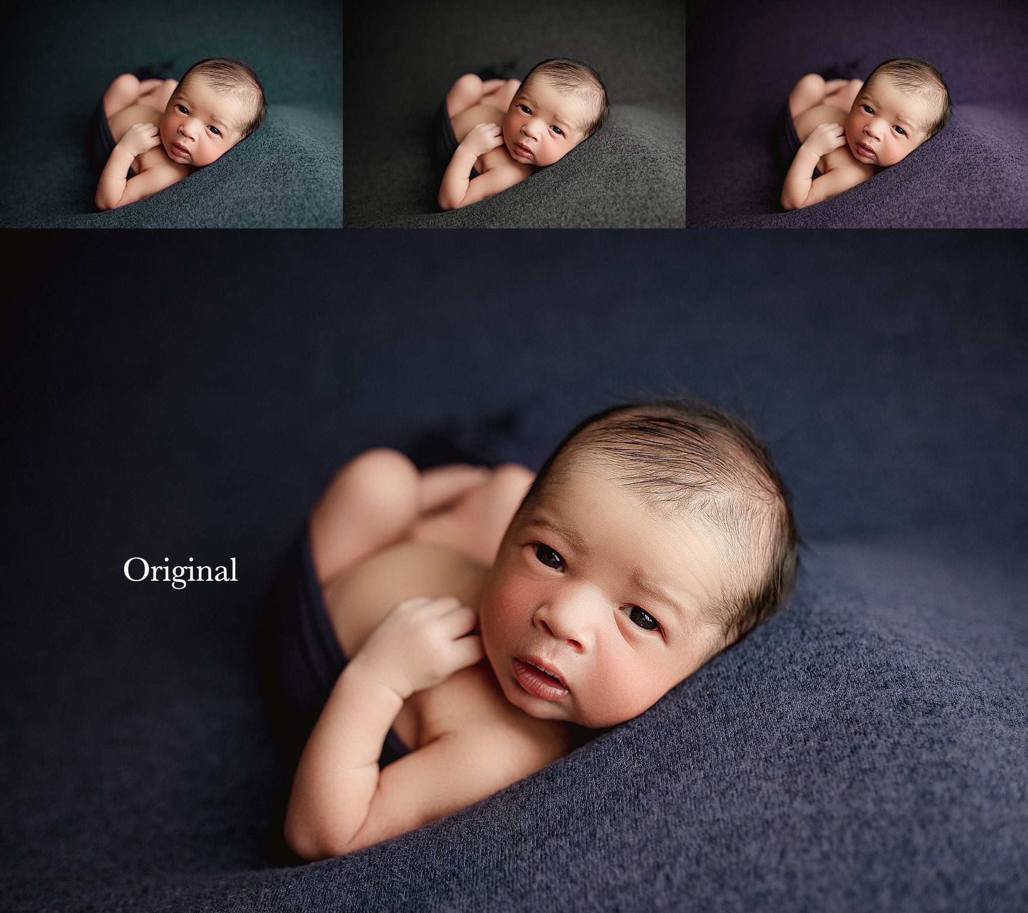 Background ColorTox – Appleseed Photography